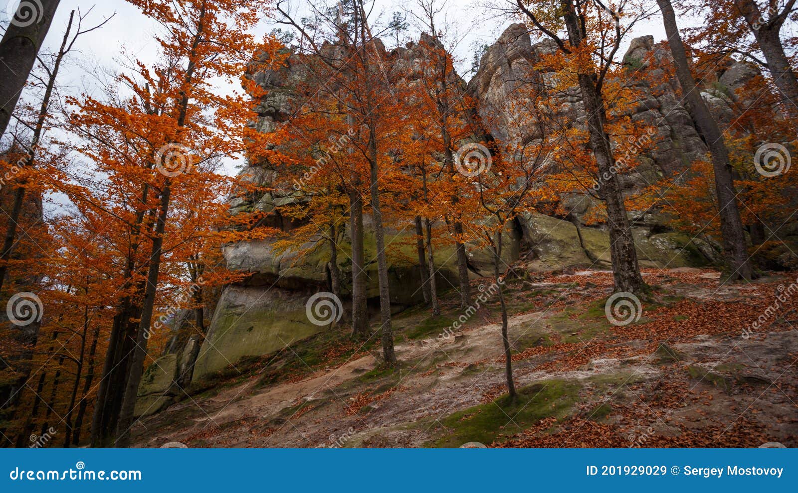 A Dovbush rocks stock image. Image of trekking, natural - 201929029