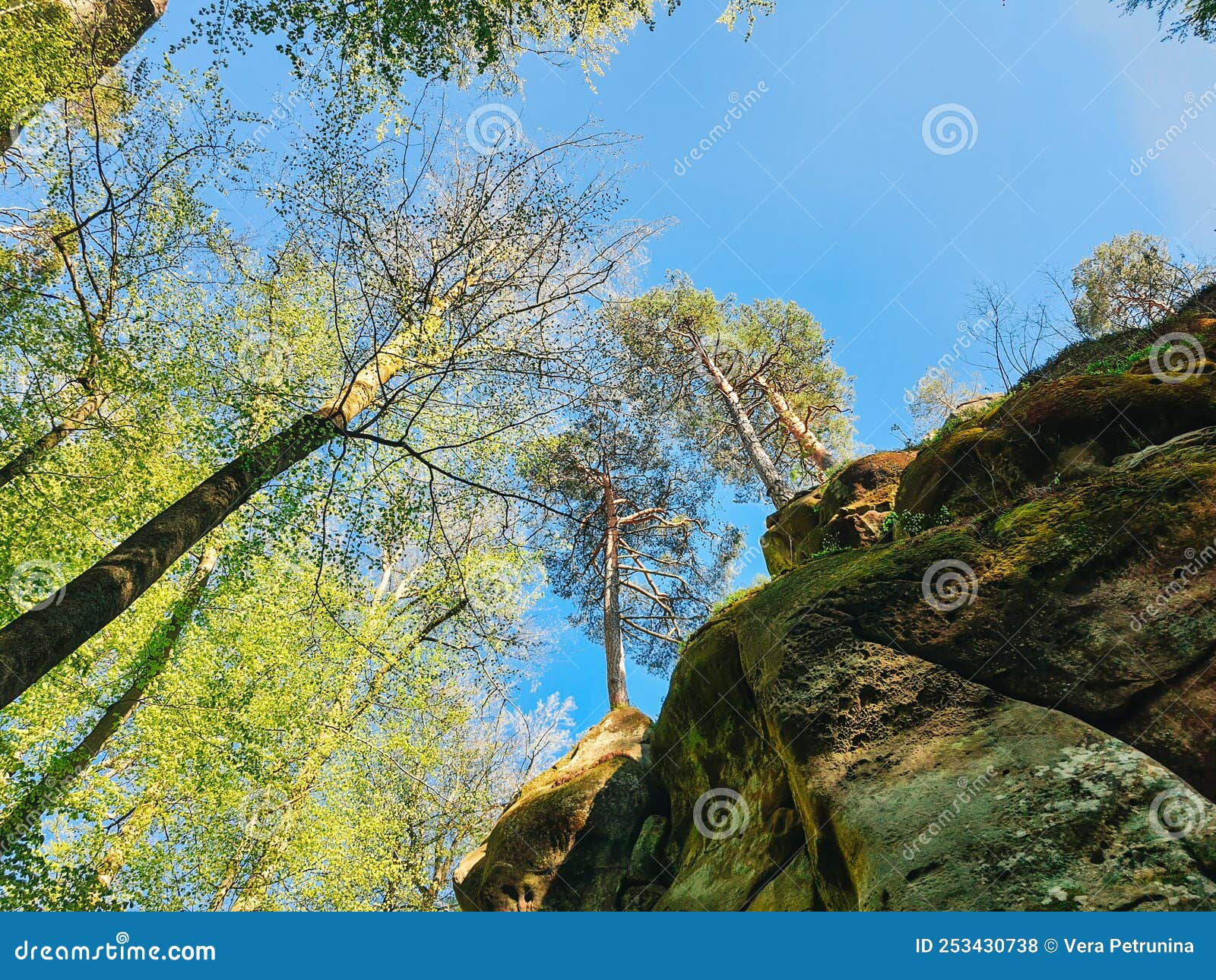 Dovbush Rocks Ukraine Spring Forest Stock Photo - Image of panoramic ...