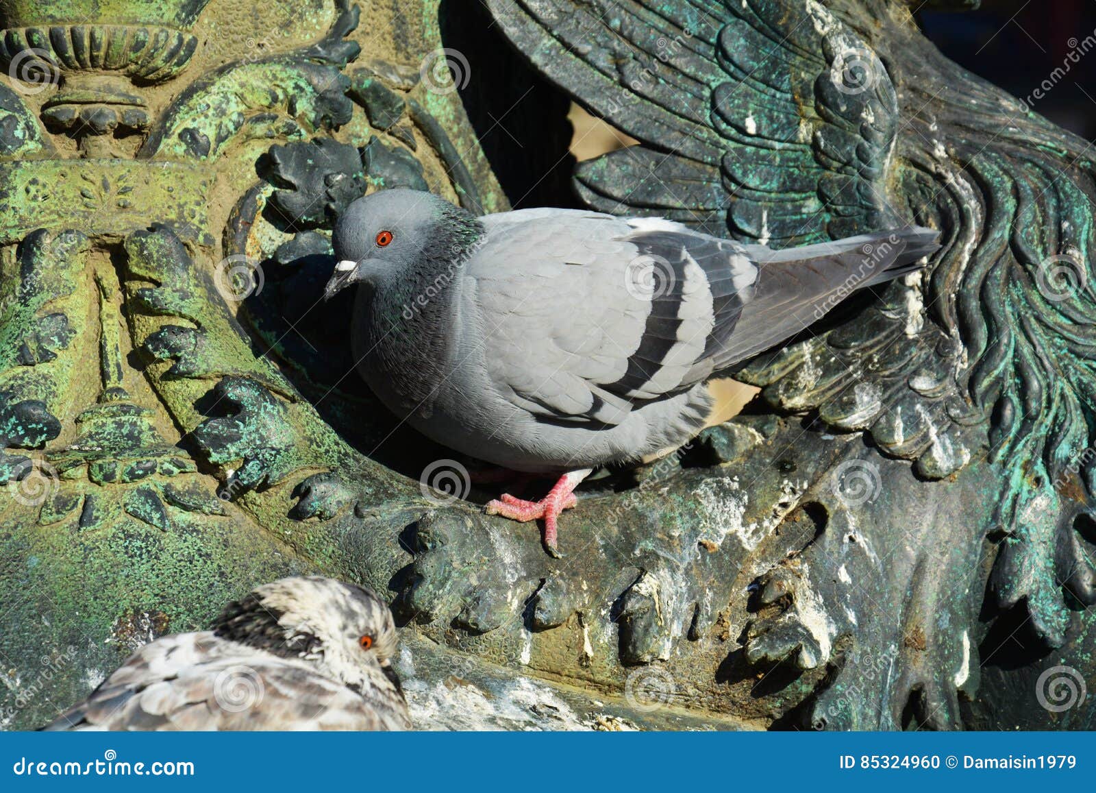 Dove as a statue stock photo. Image of statue, closeup - 85324960