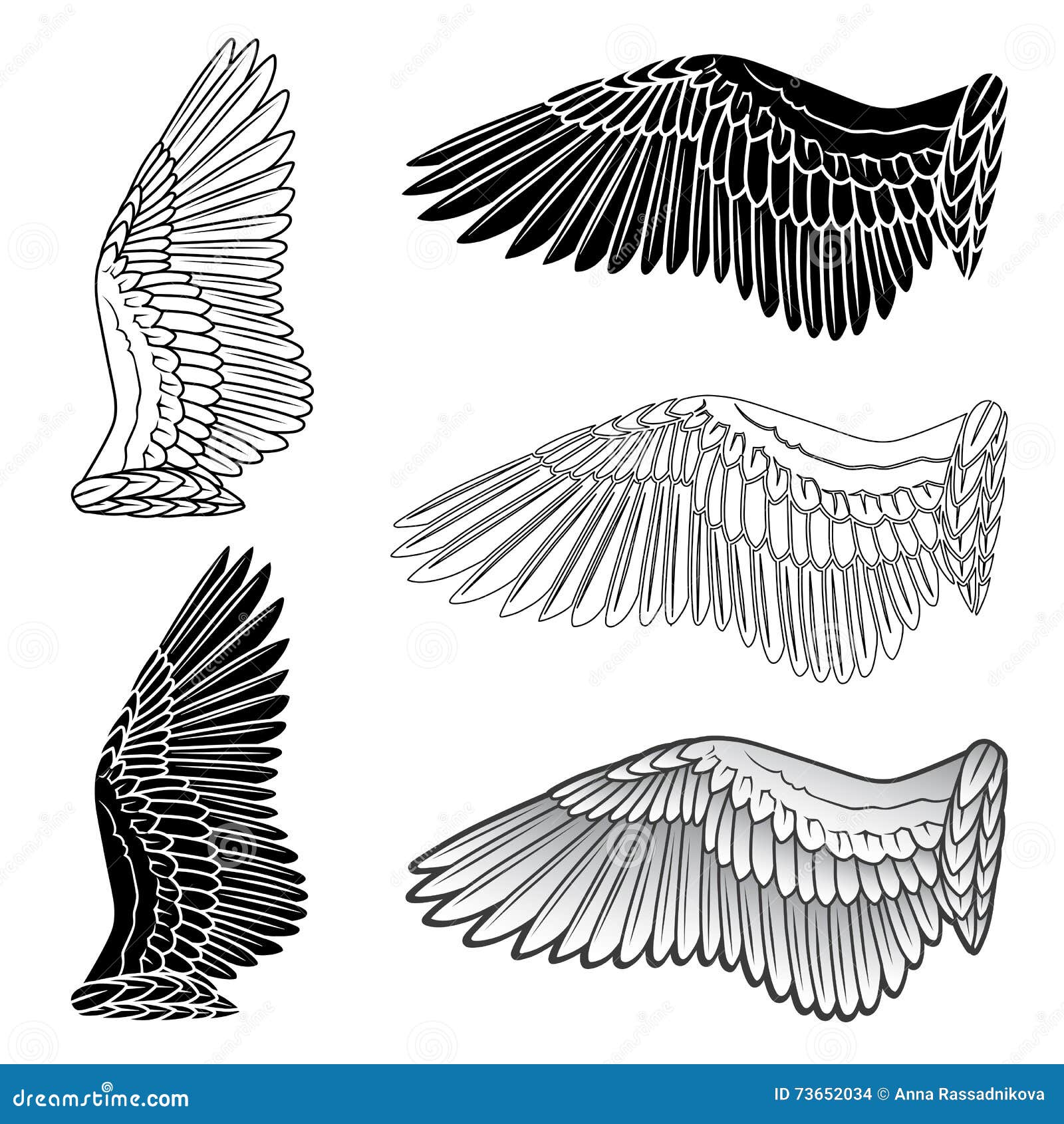 Pigeon Wings Stock Illustrations – 7,198 Pigeon Wings Stock ...