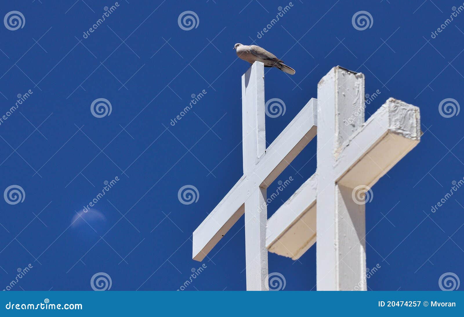 Dove on Cross stock image. Image of ornithology, religion - 20474257