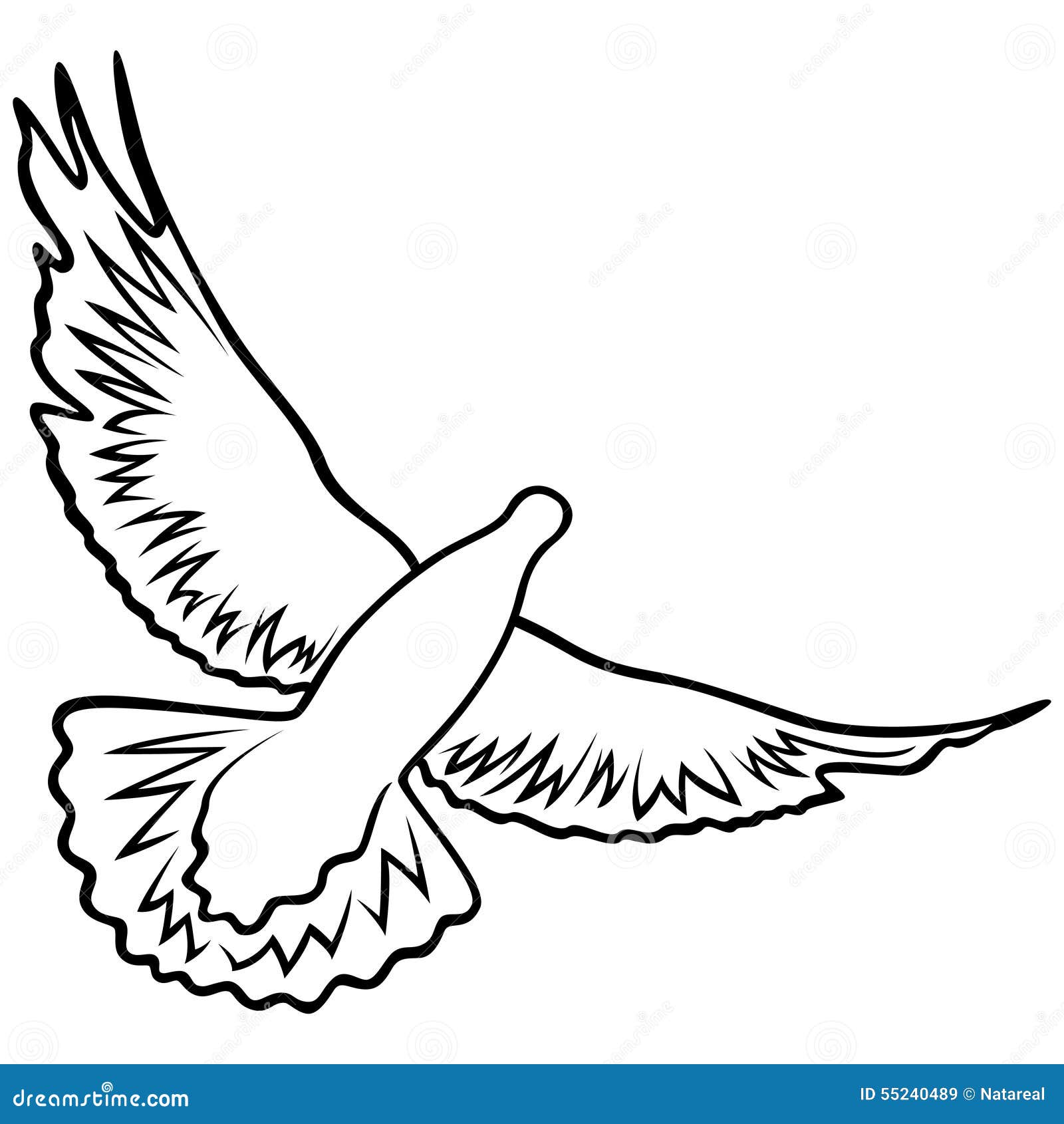 A Dove With Outstretched Wings Holding A Heart In Its Beak. Vector ...