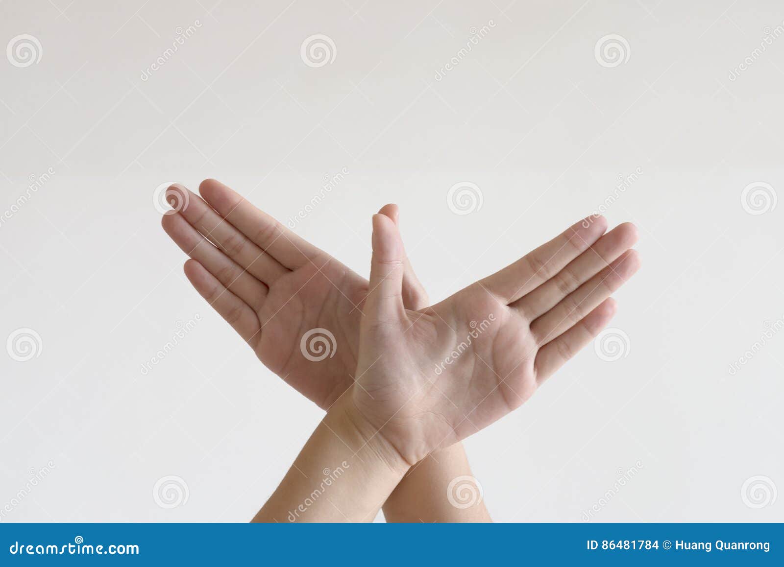 Dove Hand Stock Photos - Royalty Free Images