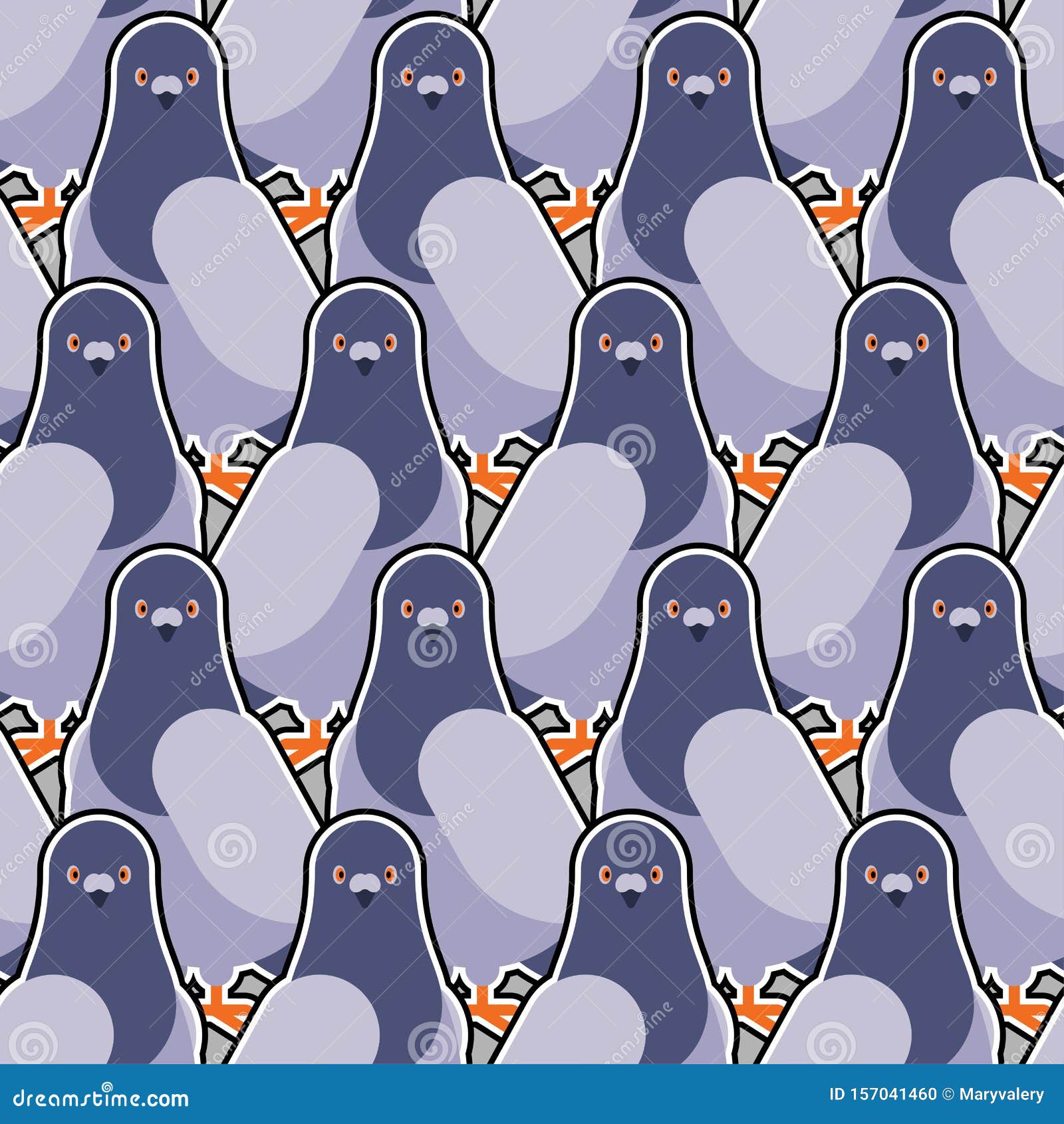 Dove Grey Front View Isolated. Pigeon City Bird Vector Illustration ...