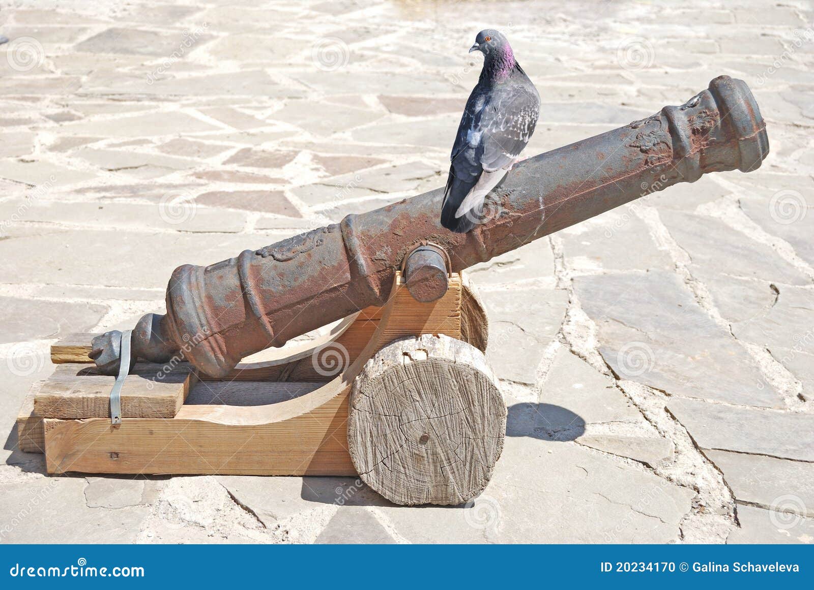 Dove and gun stock photo. Image of army, protection, metallic - 20234170