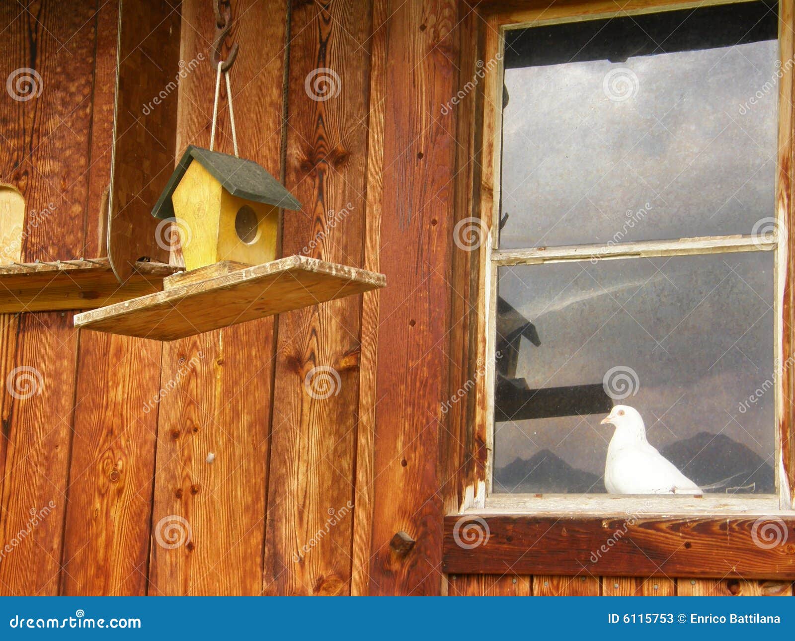 The Dove House Picture. Image: 6115753