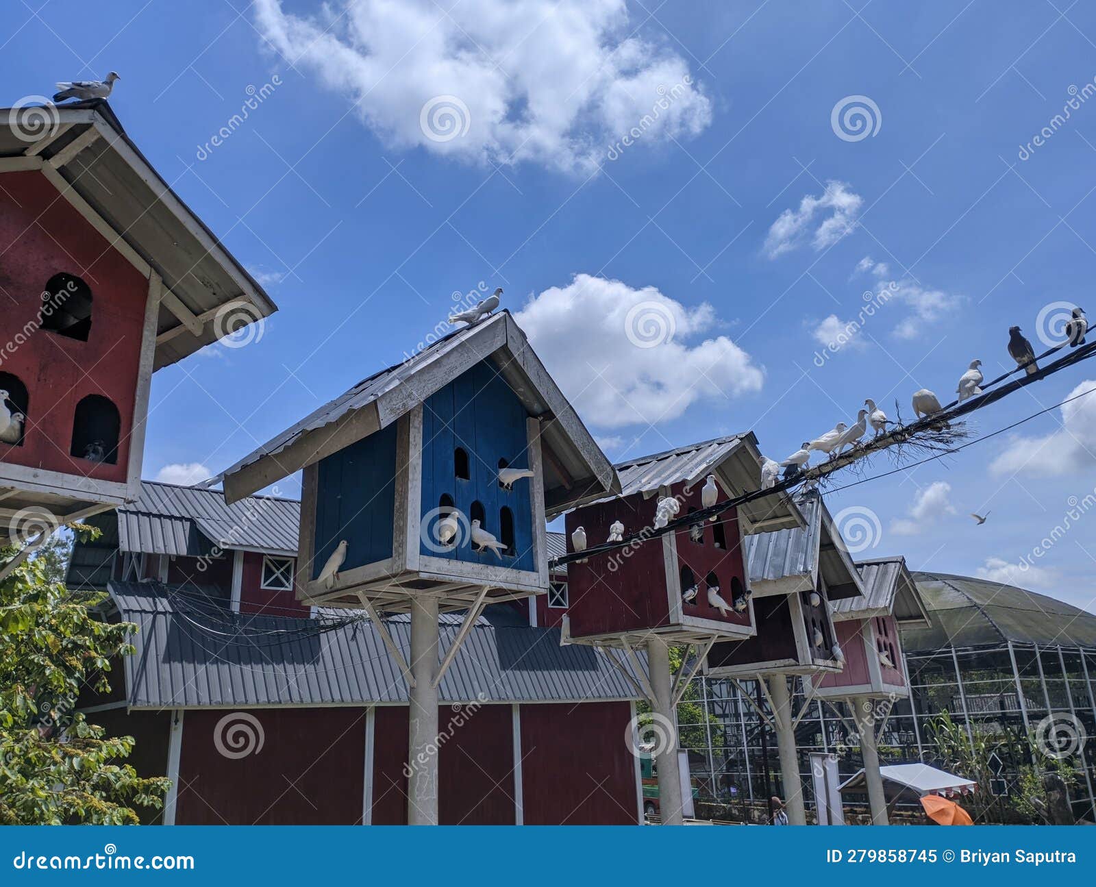 Dove House the Dove is Caged Up. Background: a Blue Sky Stock Image ...