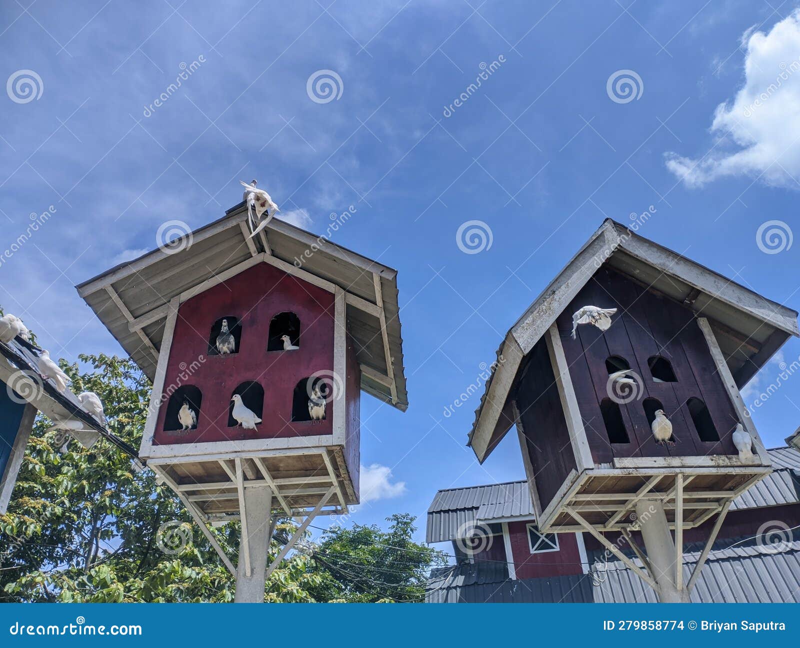 Dove House the Dove is Caged Up. Background: a Blue Sky Stock Photo ...