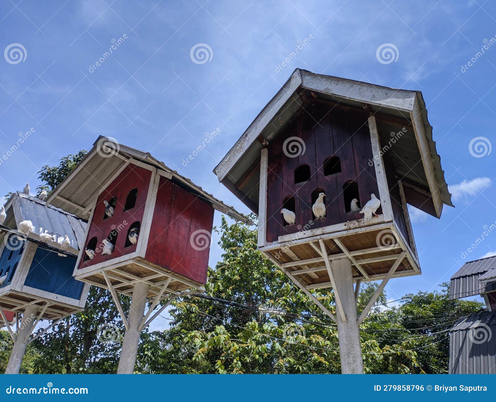 Dove House the Dove is Caged Up. Background: a Blue Sky Stock Photo ...