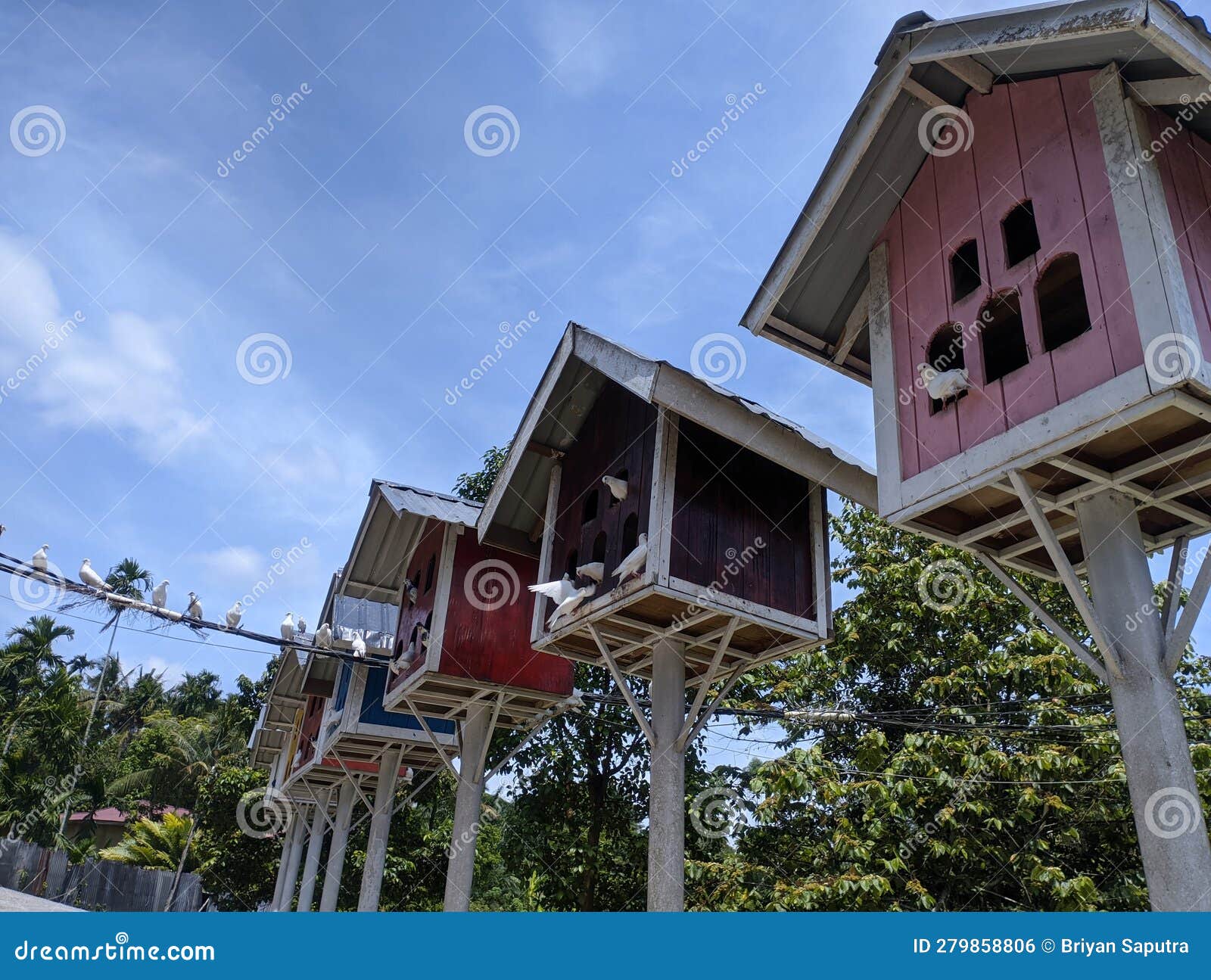 Dove House the Dove is Caged Up. Background: a Blue Sky Stock Photo ...