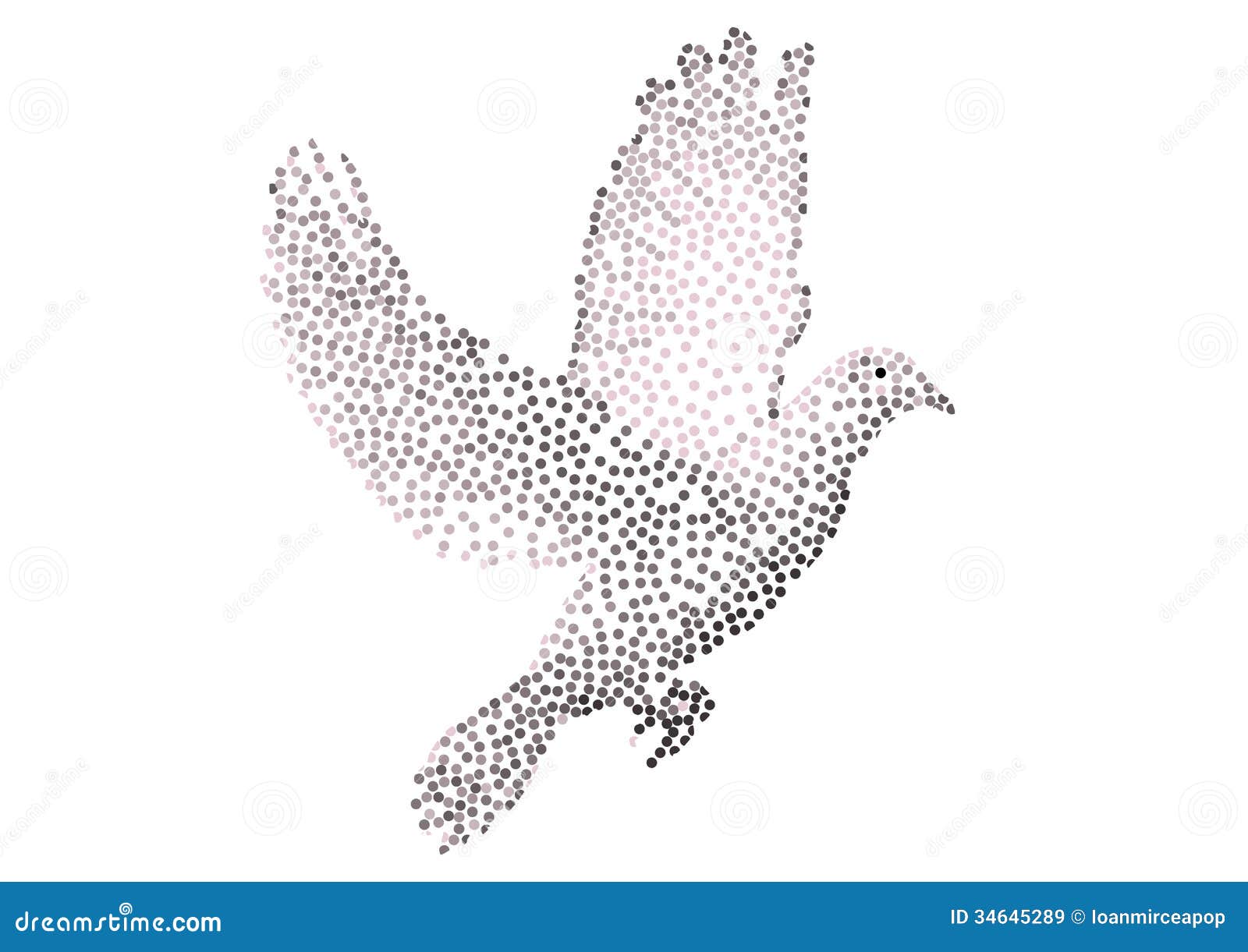 Dove stock illustration. Illustration of peace, nature - 34645289