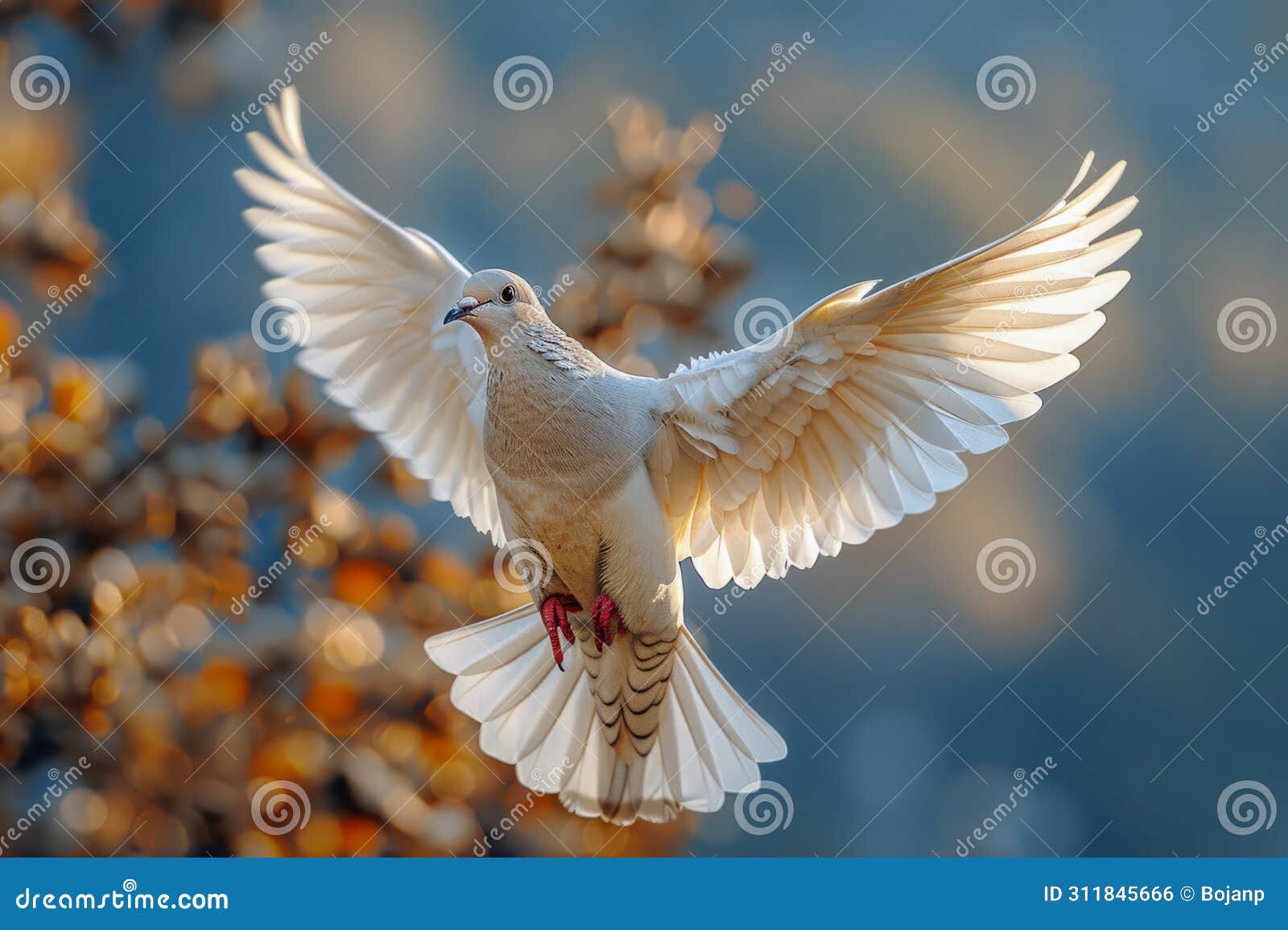 The Dove of Peace. Symbol of Serenity and Tranquility. AI Generated ...