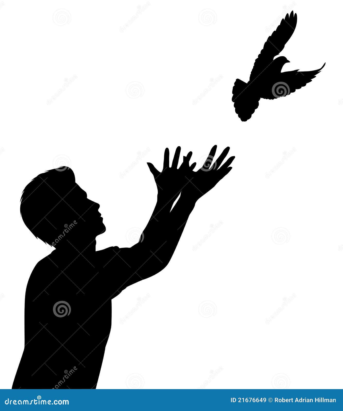 Dove release stock vector. Illustration of animal, freedom - 21676649