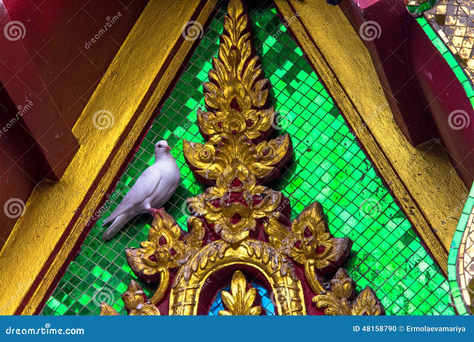 Dove Sits on the Wall of Temple Stock Photo - Image of blue, animal ...