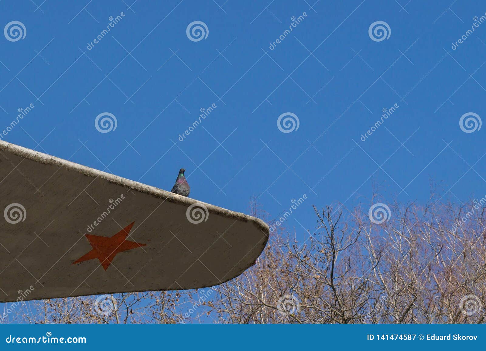 Dove on the Wing of a Military Soviet Aircraft with a Red Star Stock ...