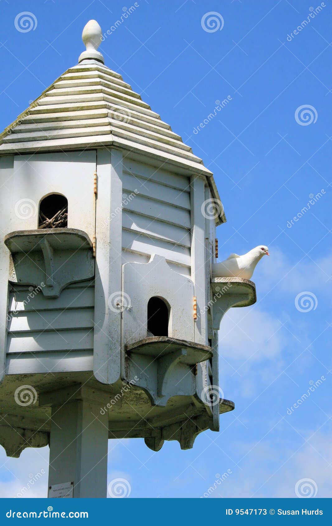 Dovecote with dove stock image. Image of white, resting - 9547173