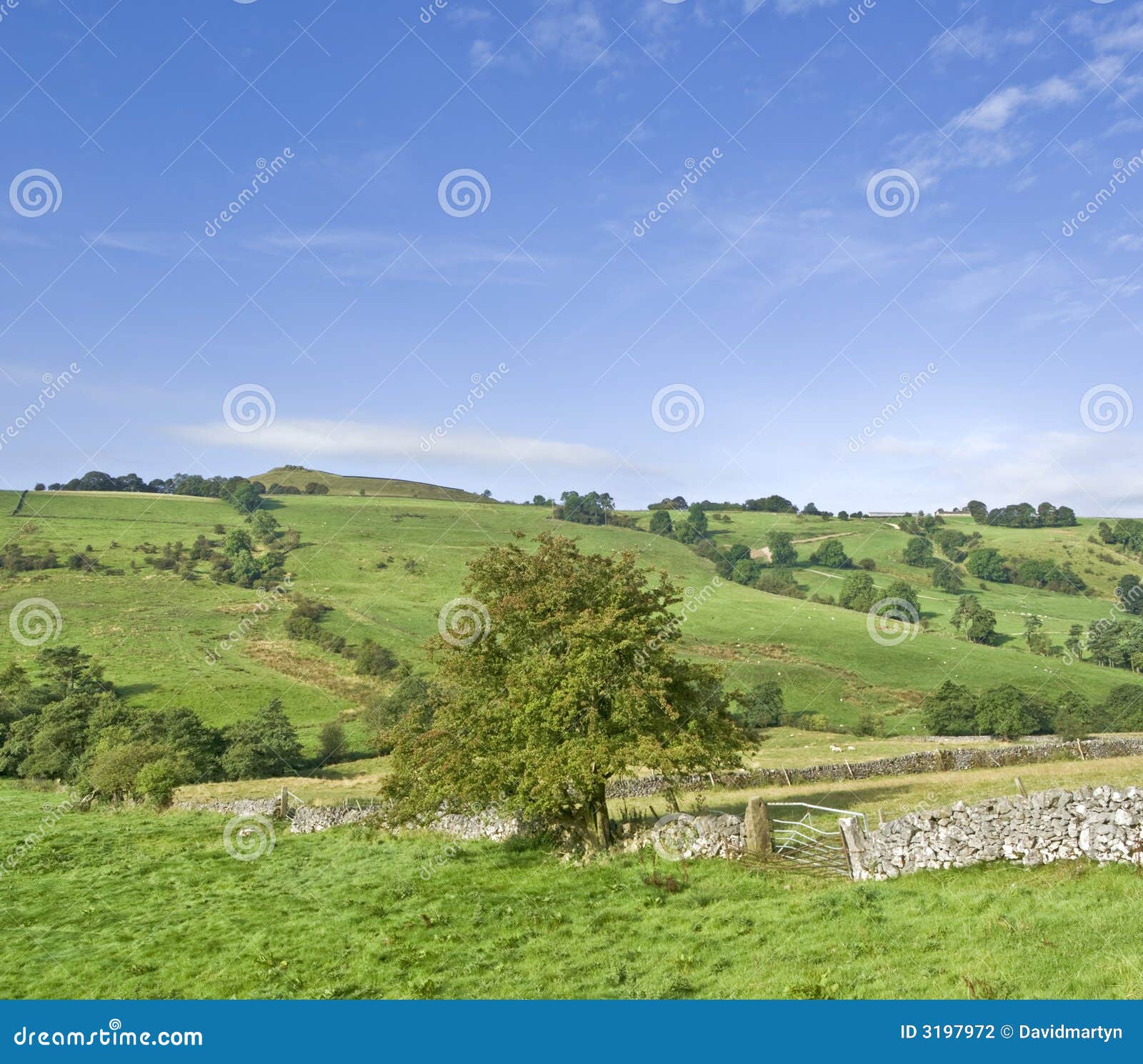 Dovedale stock photo. Image of england, district, field - 3197972