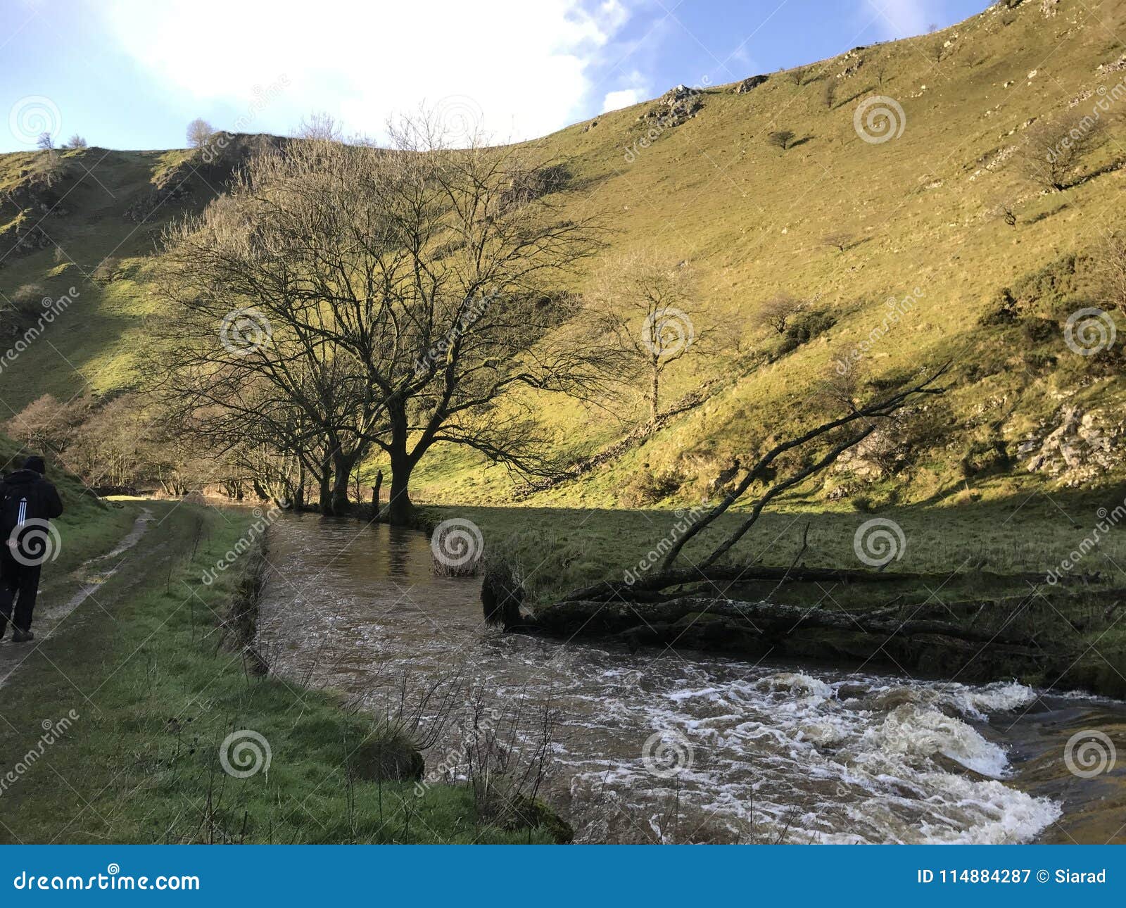 Dovedale stock image. Image of dovedale, river, nature - 114884287