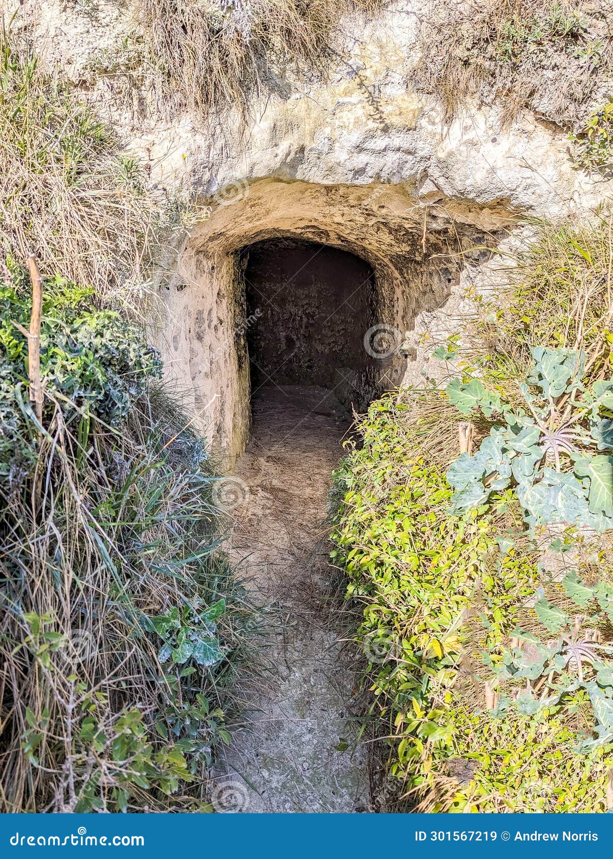 Dover Cliff Cave stock image. Image of cliffs, geology - 301567219