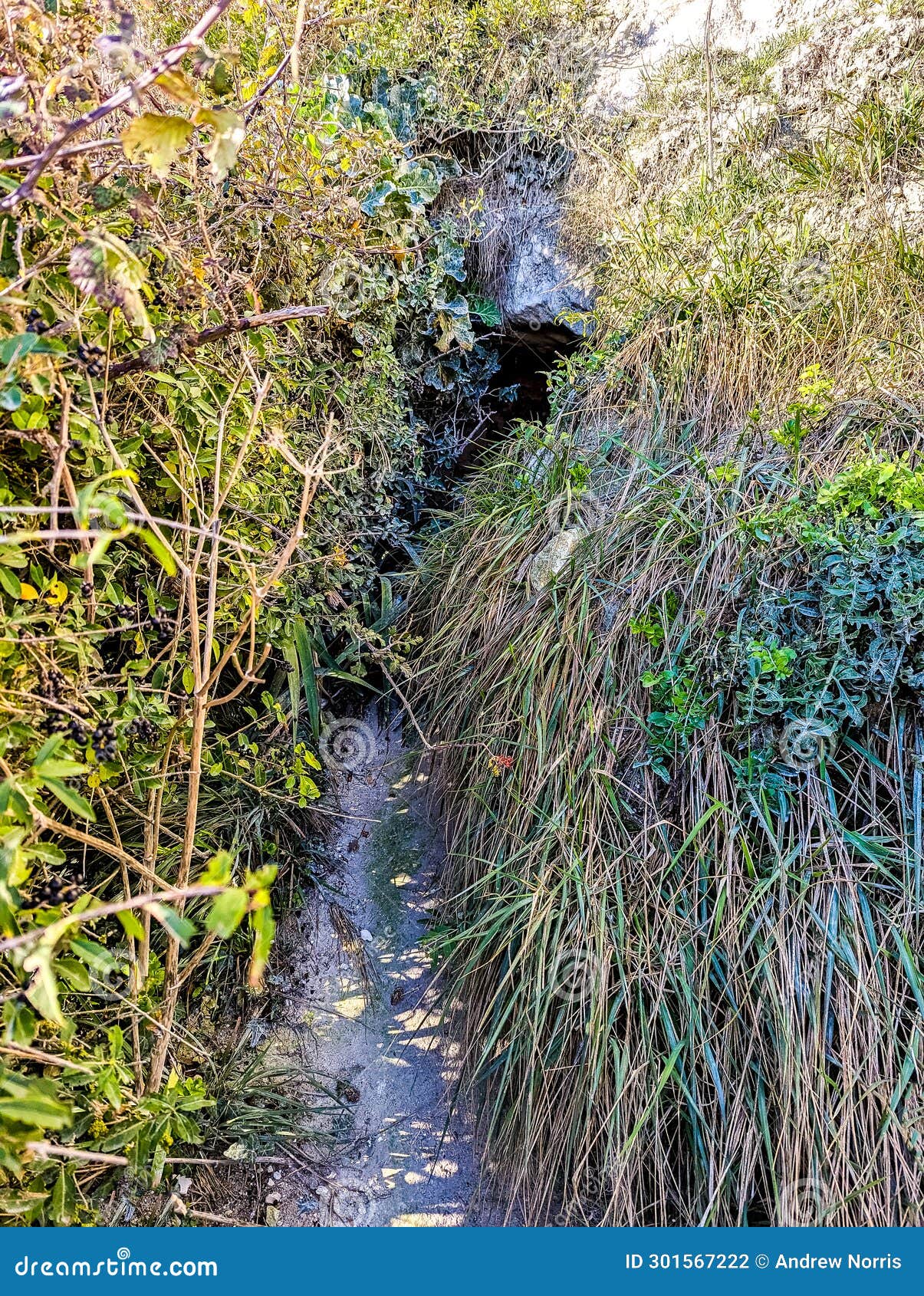 Dover Cliff Cave stock photo. Image of coastal, erosion - 301567222