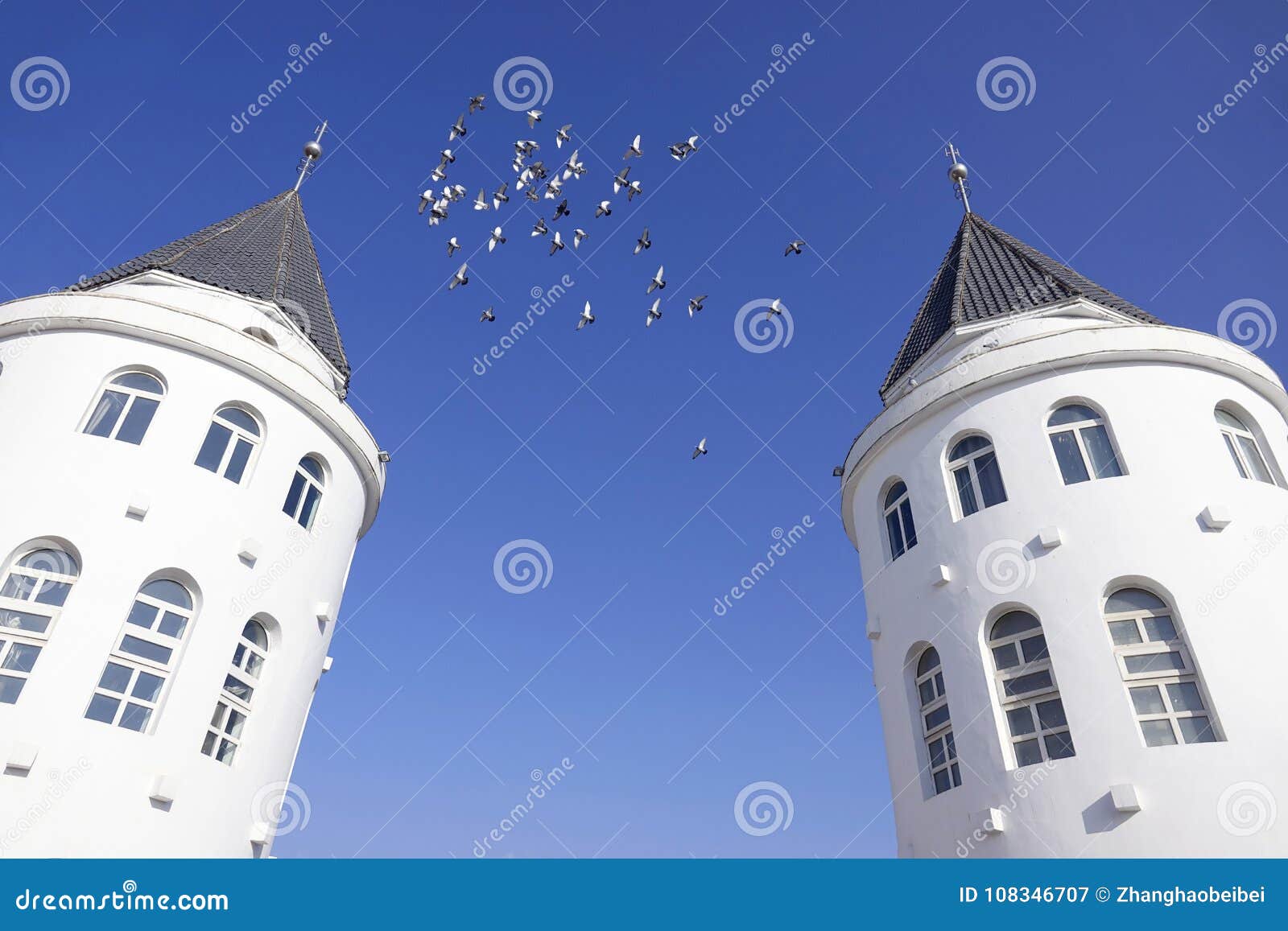 Doves and building stock image. Image of blue, bird - 108346707