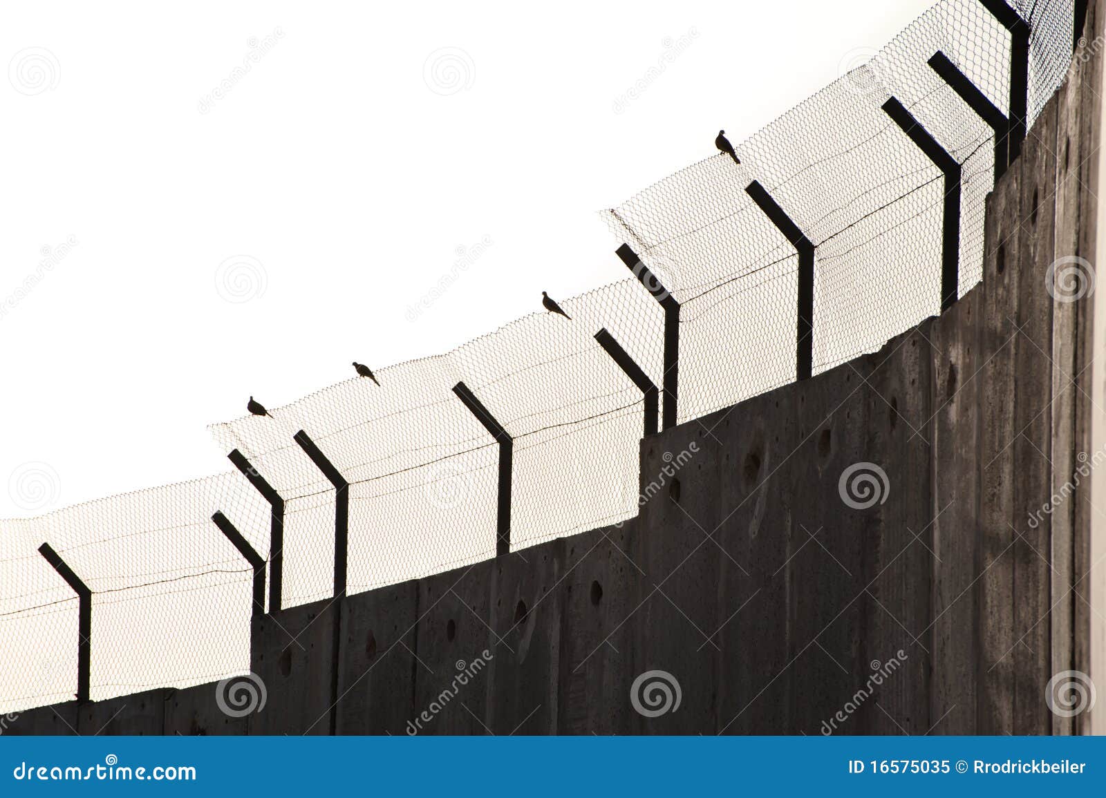 Doves and Israeli Separation Barrier Stock Image - Image of cement ...