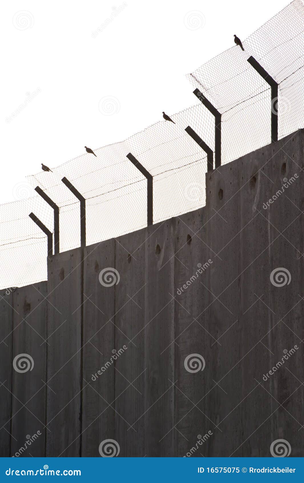 Doves and Israeli Separation Barrier Stock Image - Image of west ...