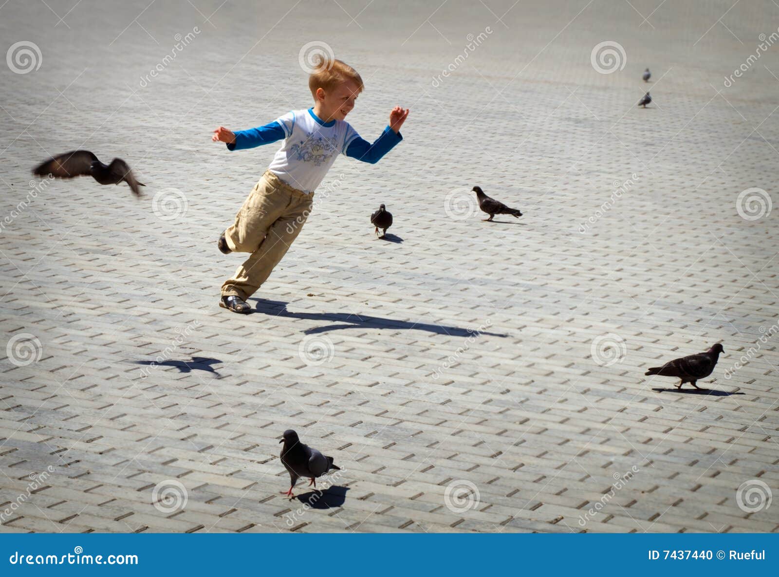 Doves persecution stock photo. Image of beautiful, child - 7437440