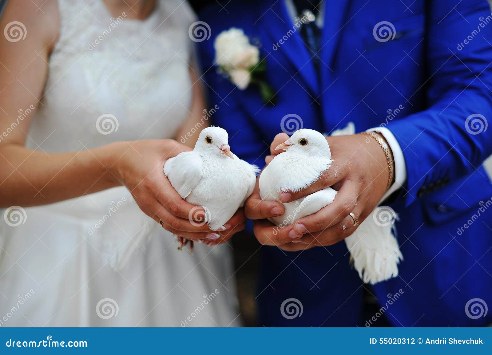 Doves at a wedding stock photo. Image of couple, husband - 55020312