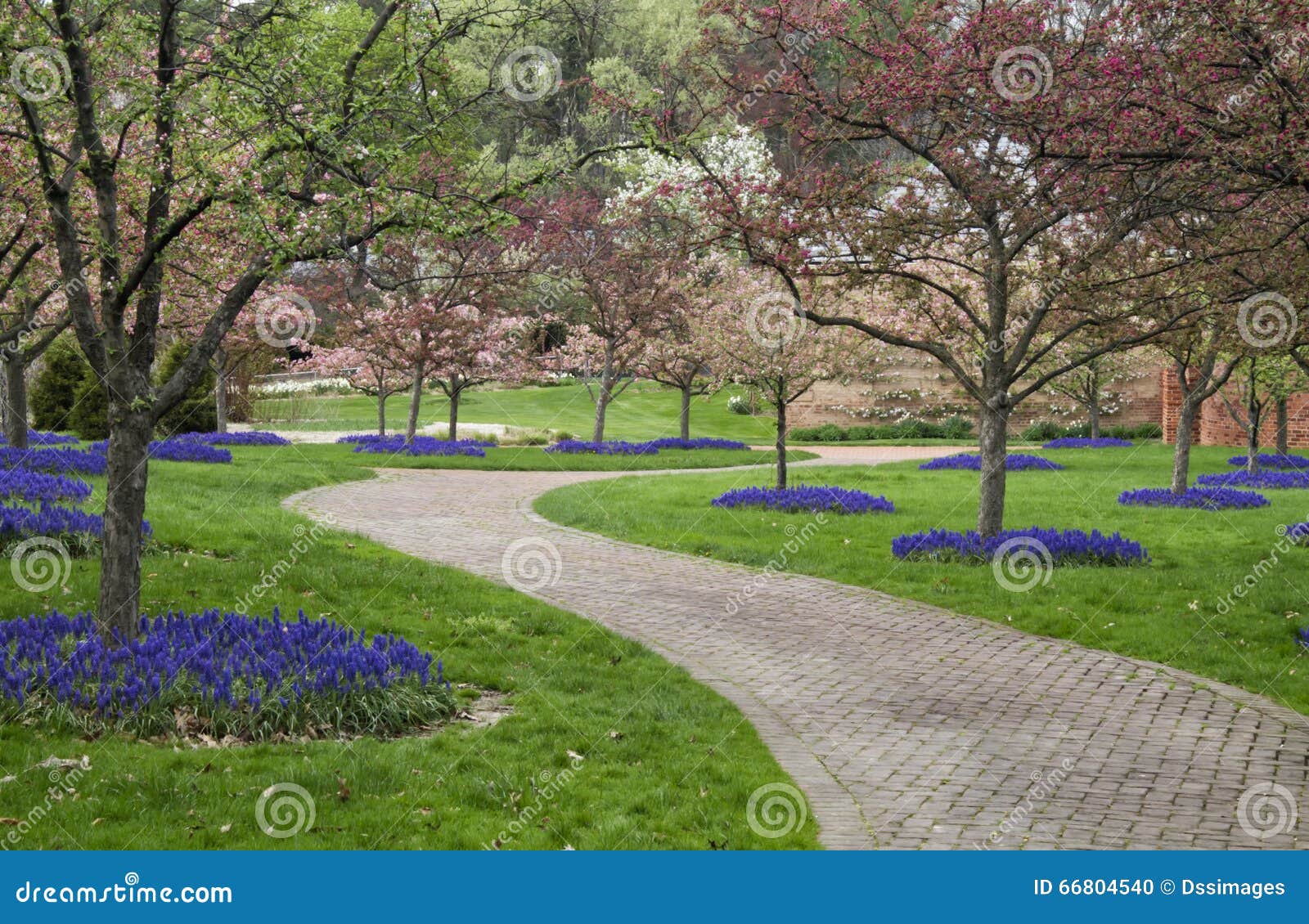 Down the Garden Path stock photo. Image of pathway, blossom - 66804540