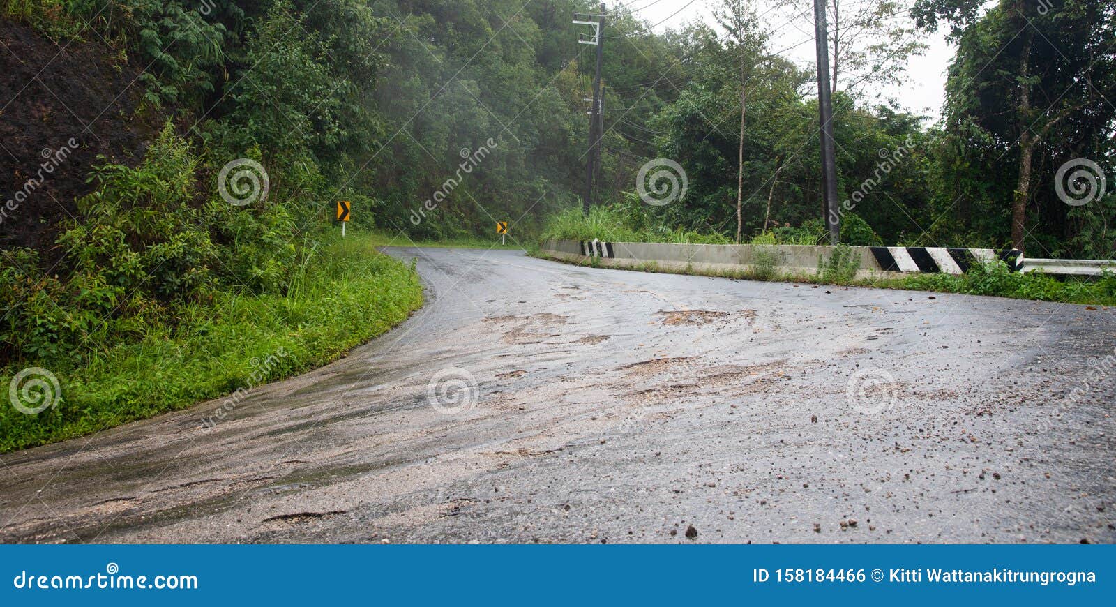 Down Hill Mountain S Curve Wet Road in Deep Forest after Raining Very ...