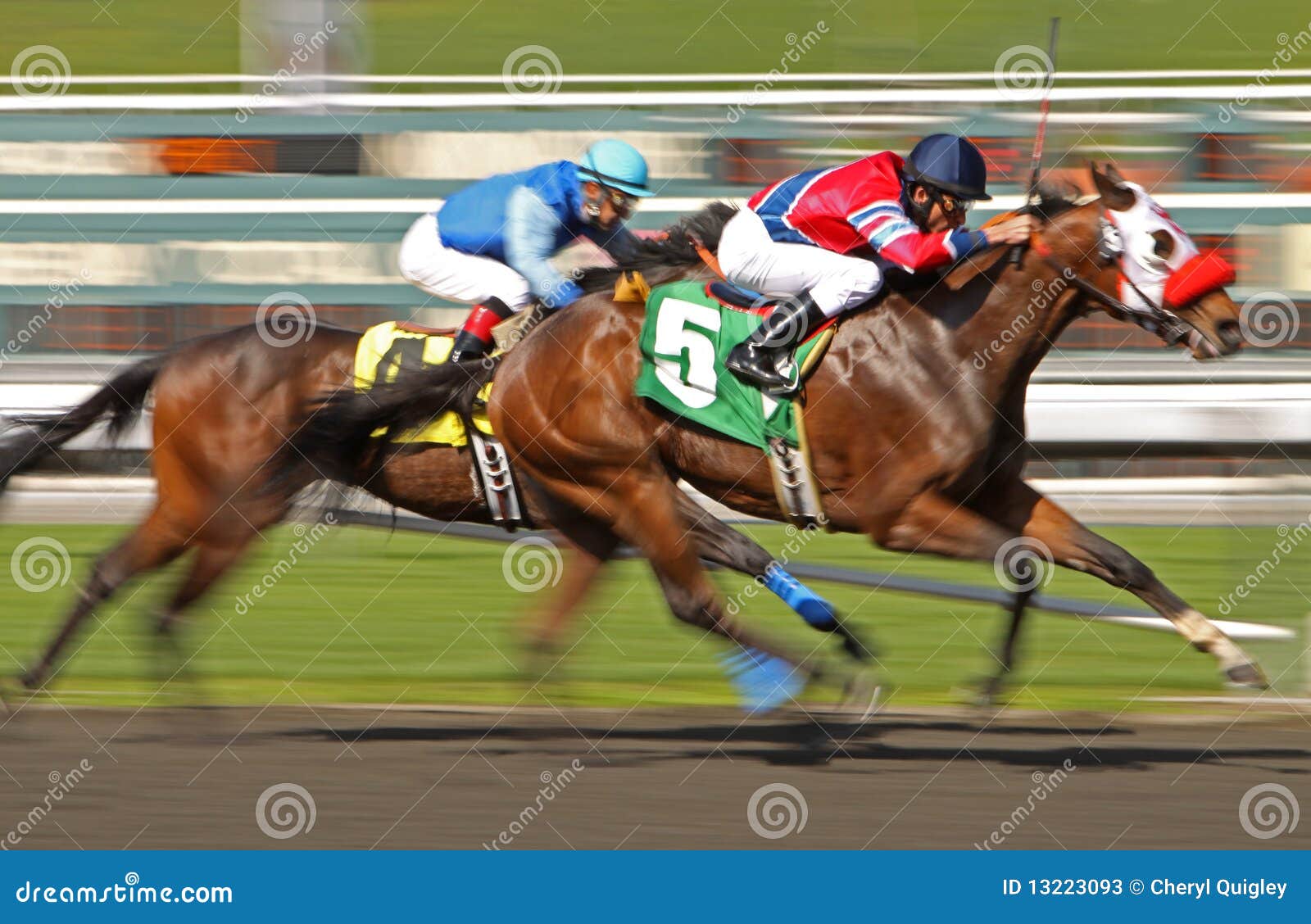 Down the Homestretch editorial stock photo. Image of fast - 13223093