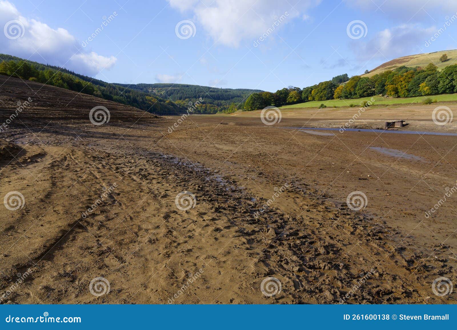 Muddy Bottom Of A Drained Small Pond With Old Aquatic Plants Stock ...