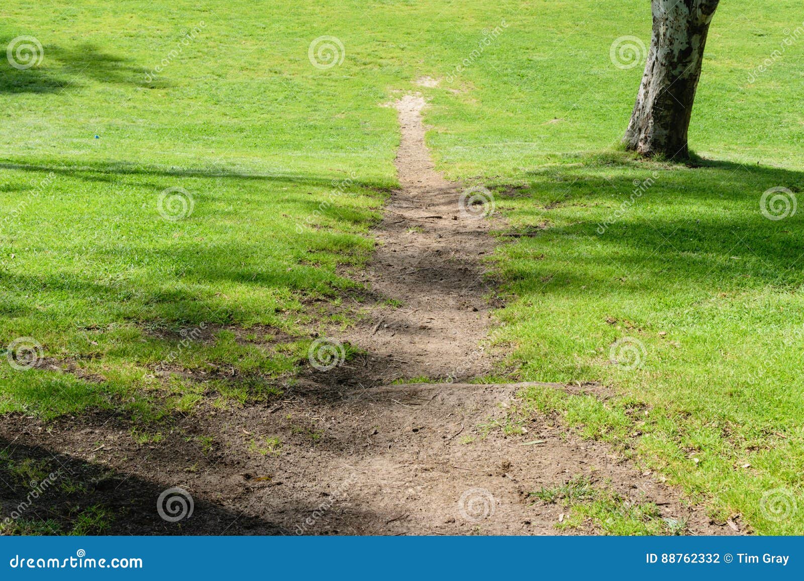 Down the path into park stock photo. Image of country - 88762332