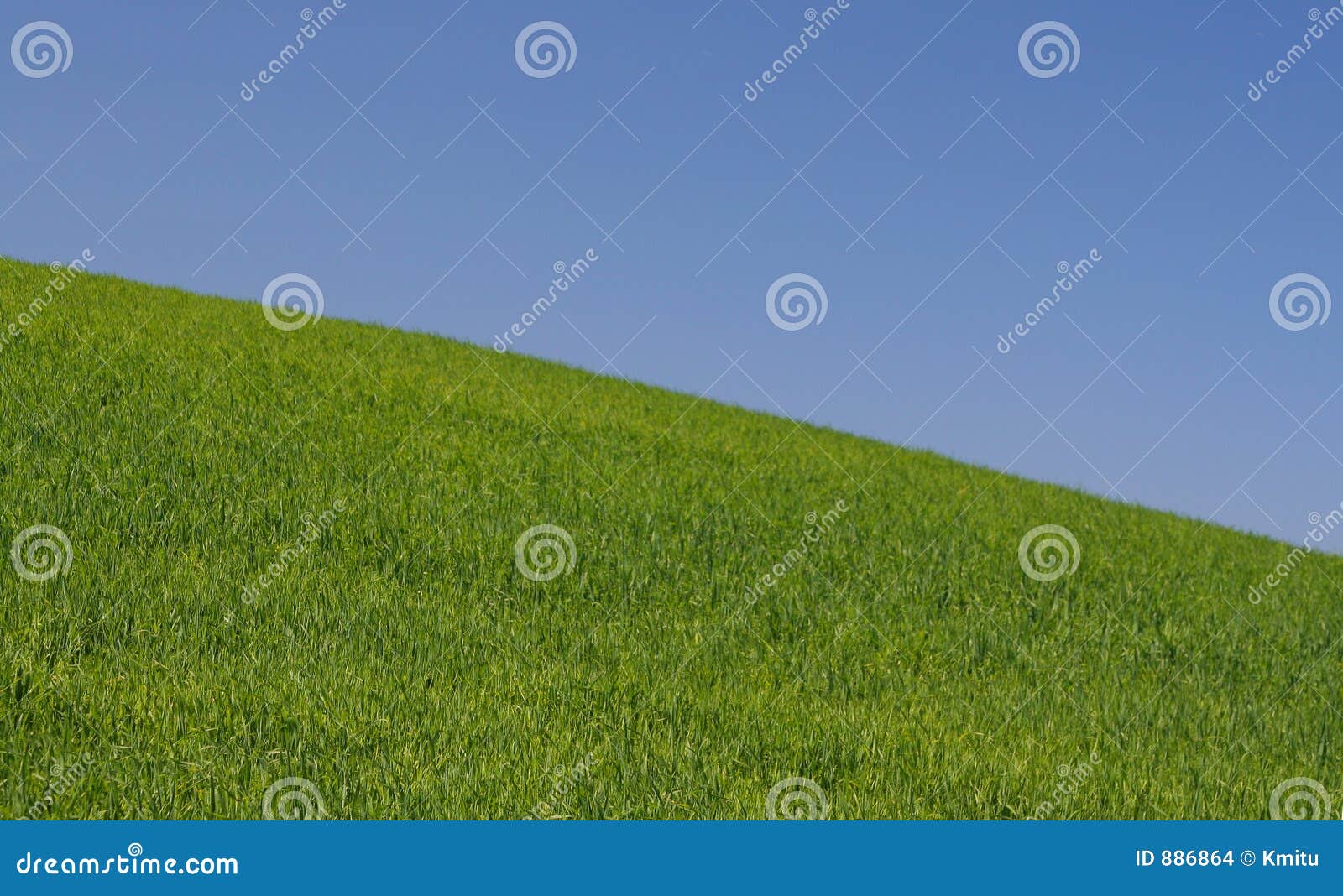 Down the perfect hill stock photo. Image of clean, heaven - 886864