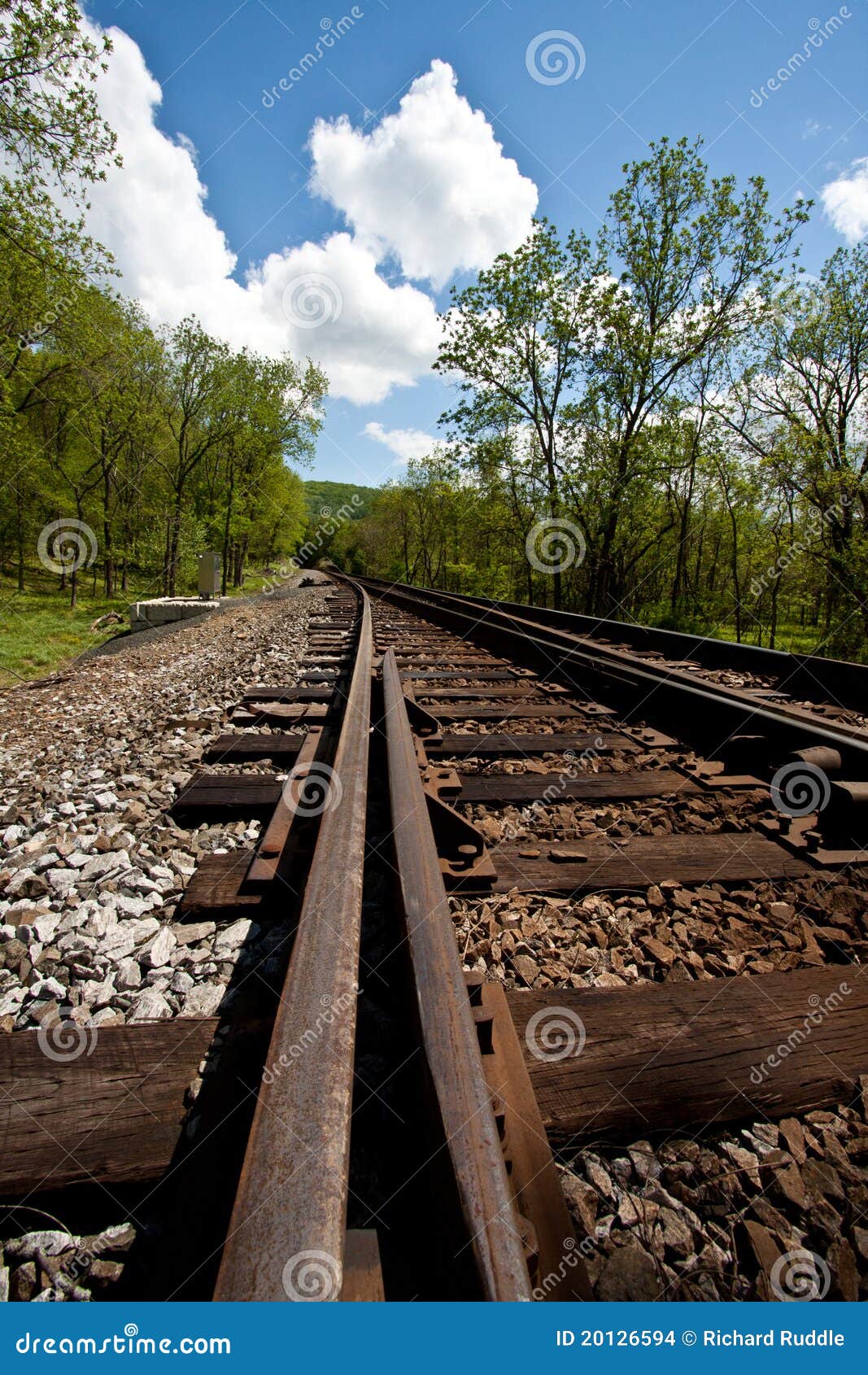 Down the Railroad Track stock photo. Image of nature - 20126594