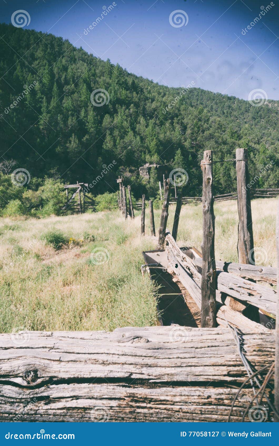 Down on the ranch stock image. Image of ranch, vintage - 77058127