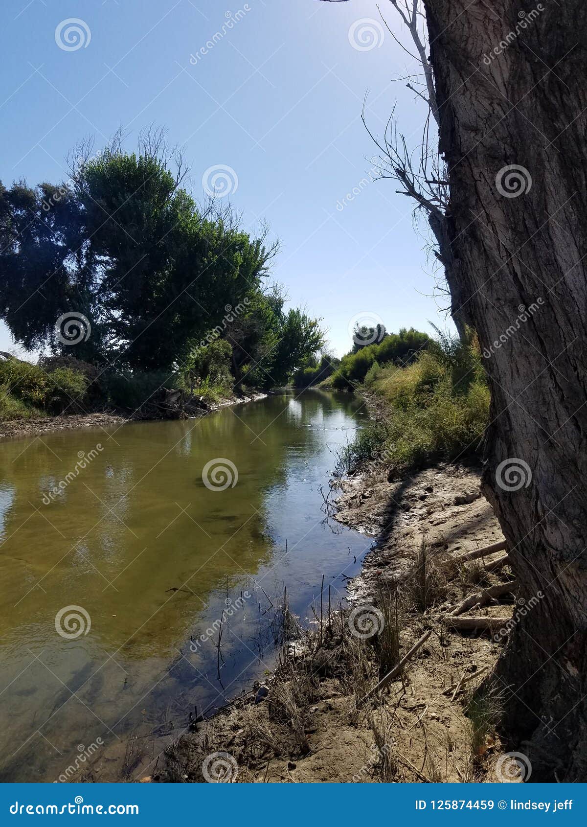 Down river stock image. Image of water, flowing, river - 125874459
