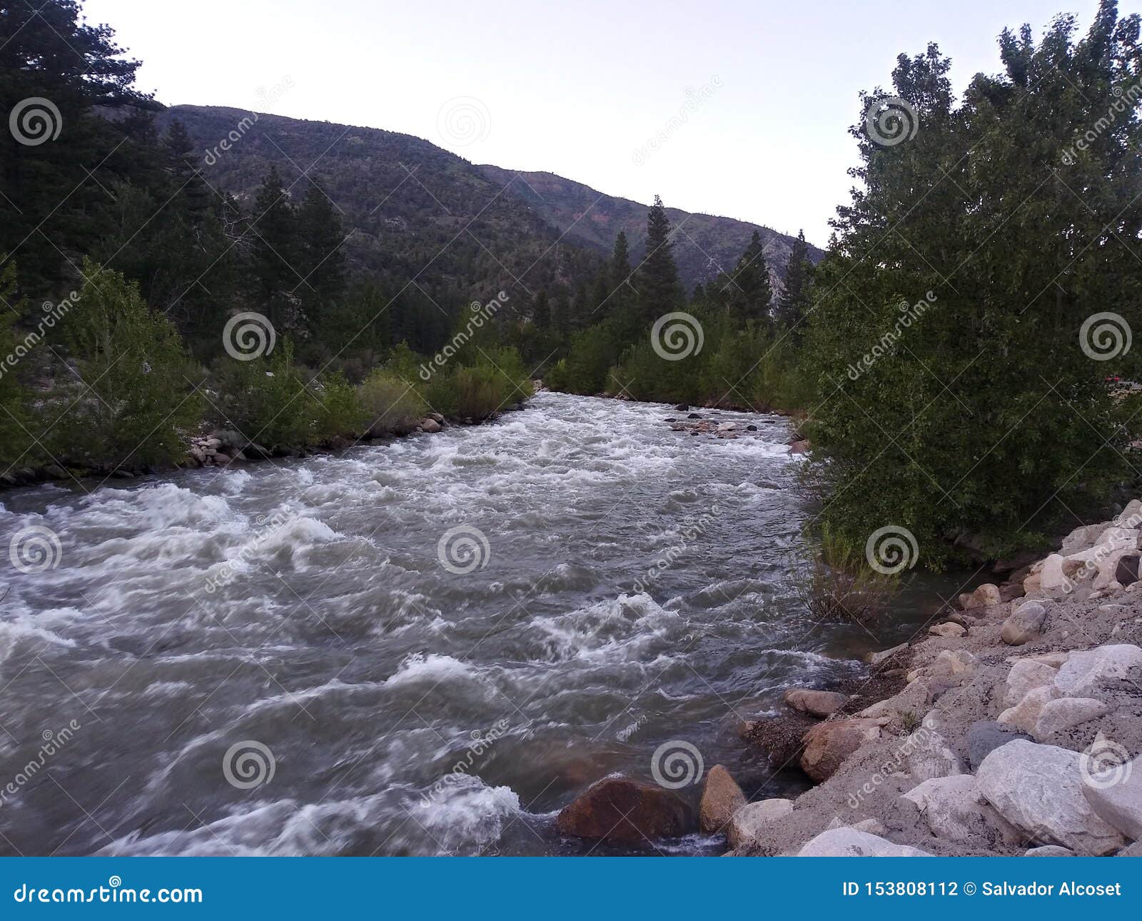 Down by the River, Up in the Forested Mountains of the Sierra Nevada ...