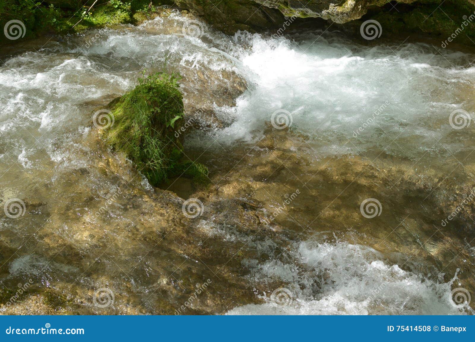 Down by the River stock photo. Image of creek, park, stone - 75414508