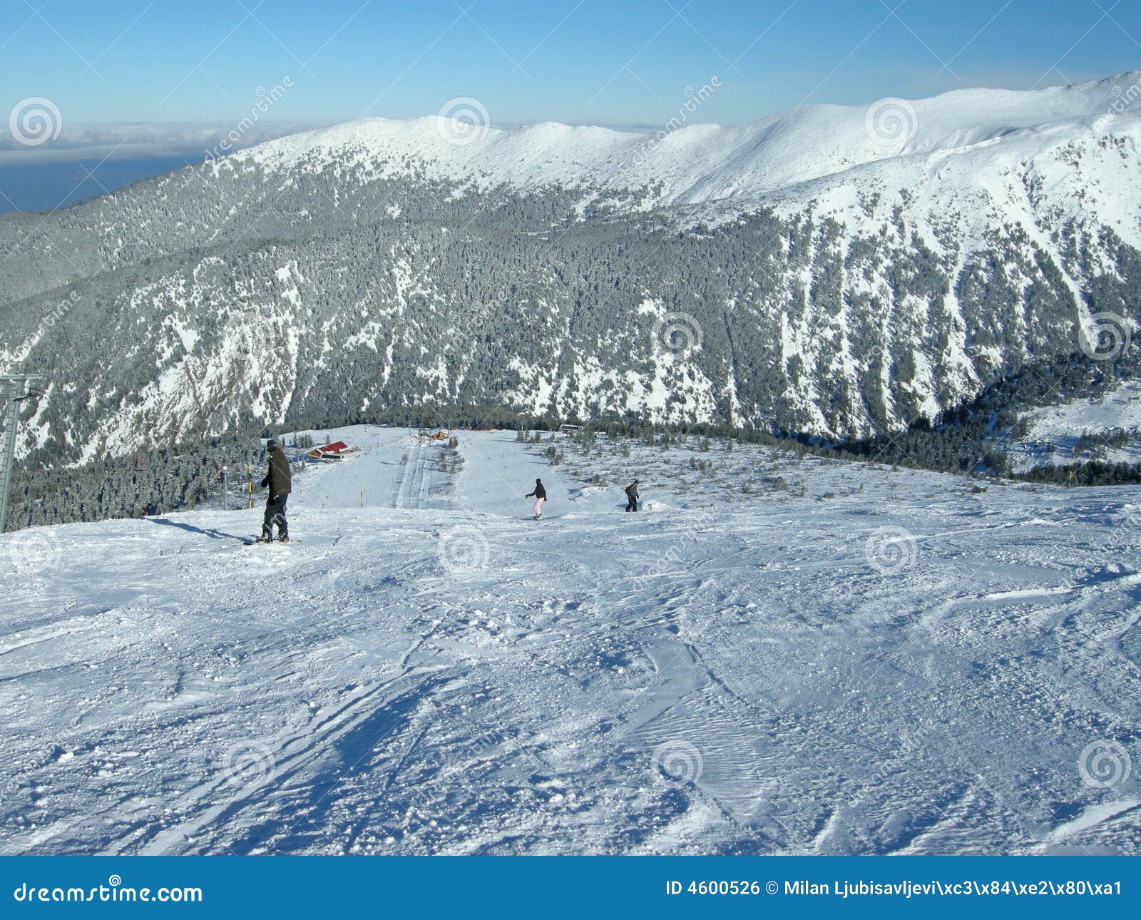 Down the Slope stock photo. Image of blue, nature, trees - 4600526