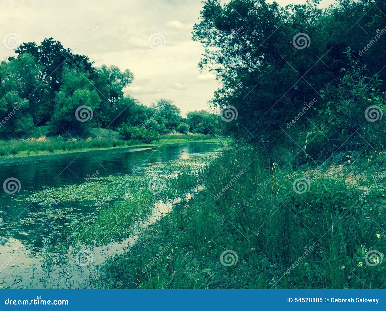 Down stream at the river stock image. Image of califor - 54528805