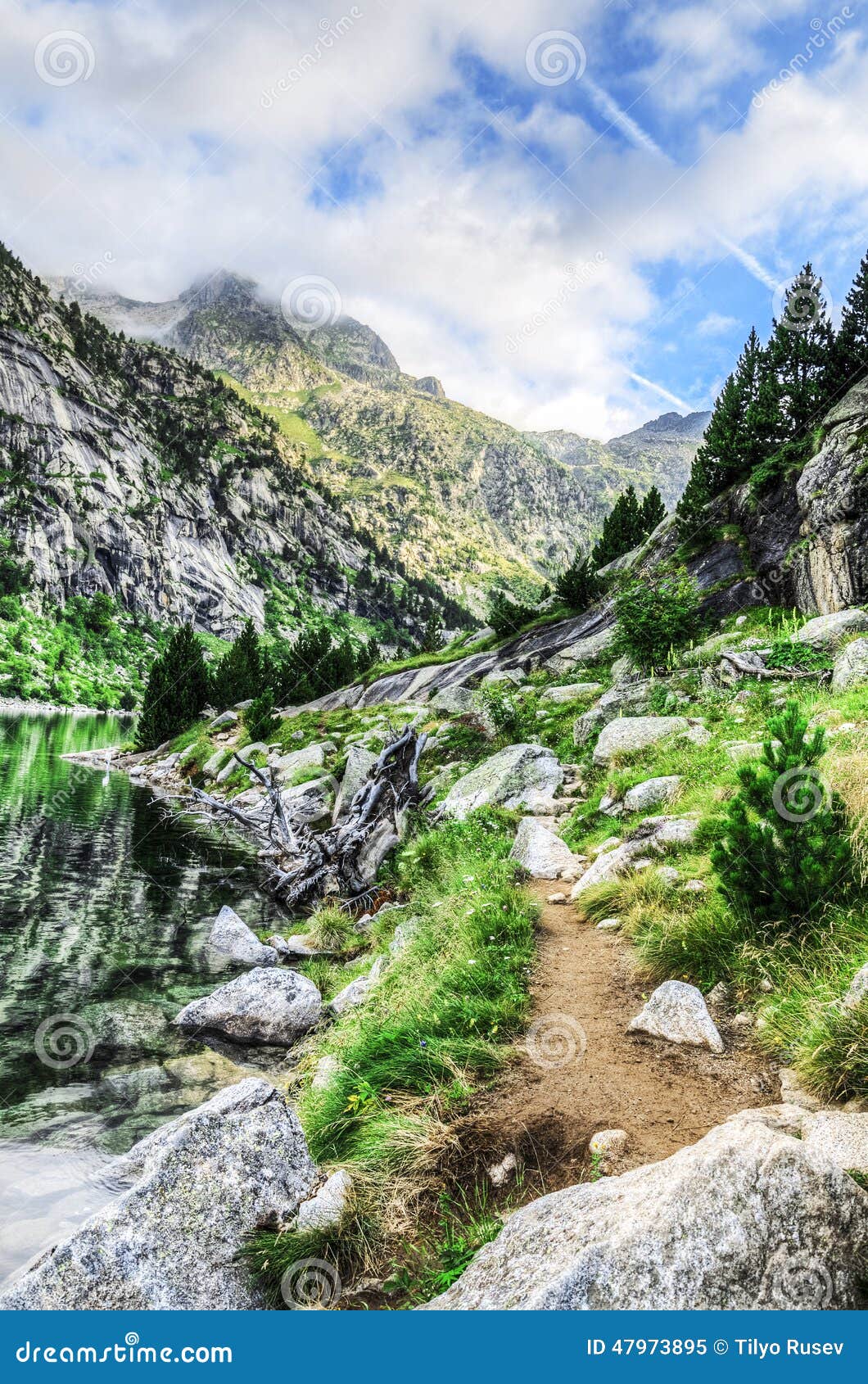 Down to the river stock image. Image of shadows, blue - 47973895