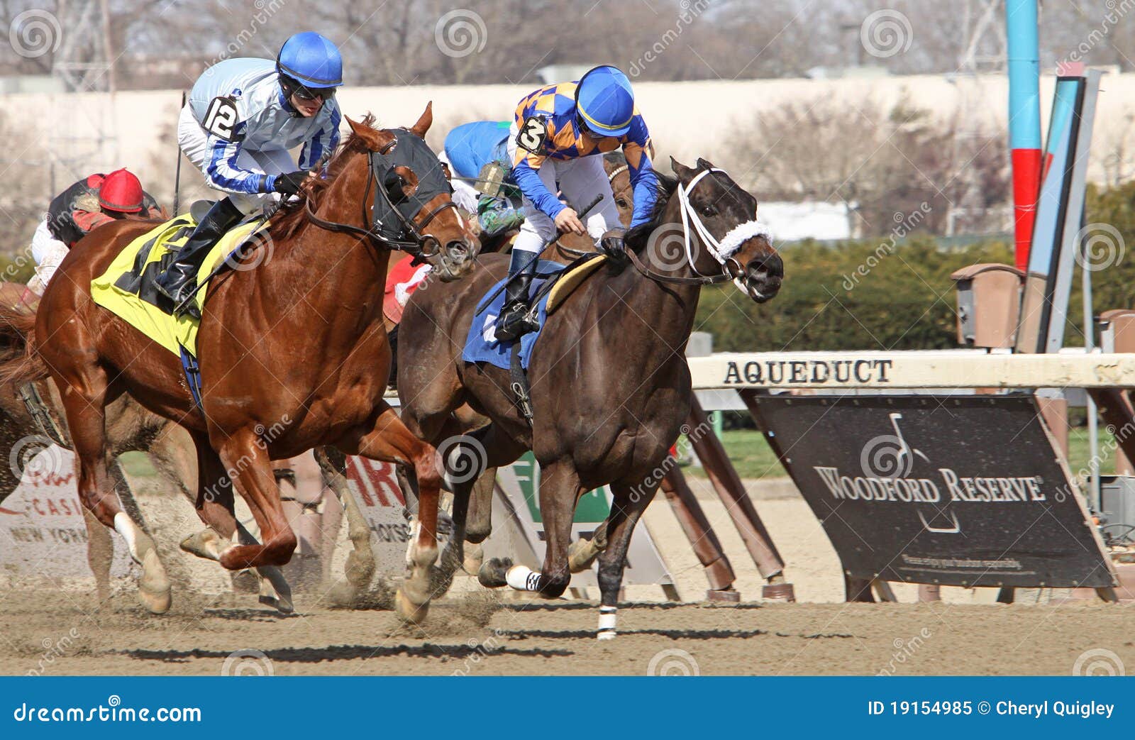 Down to the Wire editorial image. Image of gamble, wager - 19154985