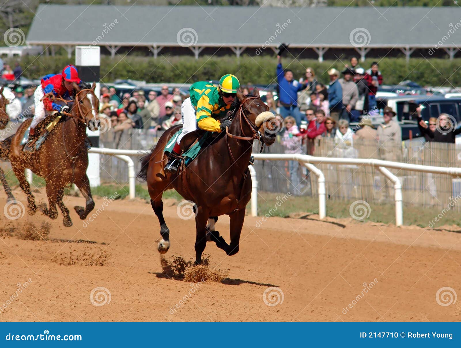 Down to the wire stock photo. Image of surge, start, racing - 2147710