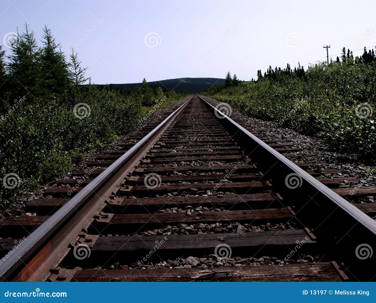 Down the Tracks stock image. Image of trees, unique, cool - 13197