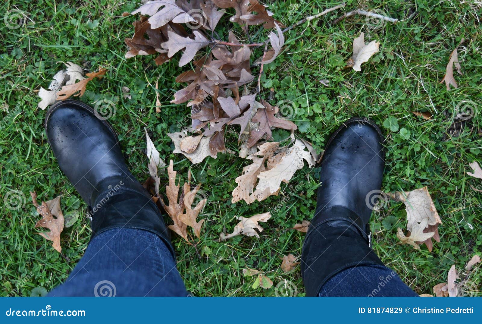Black Boots Standing in Fall Leaves Stock Image - Image of black, shot ...