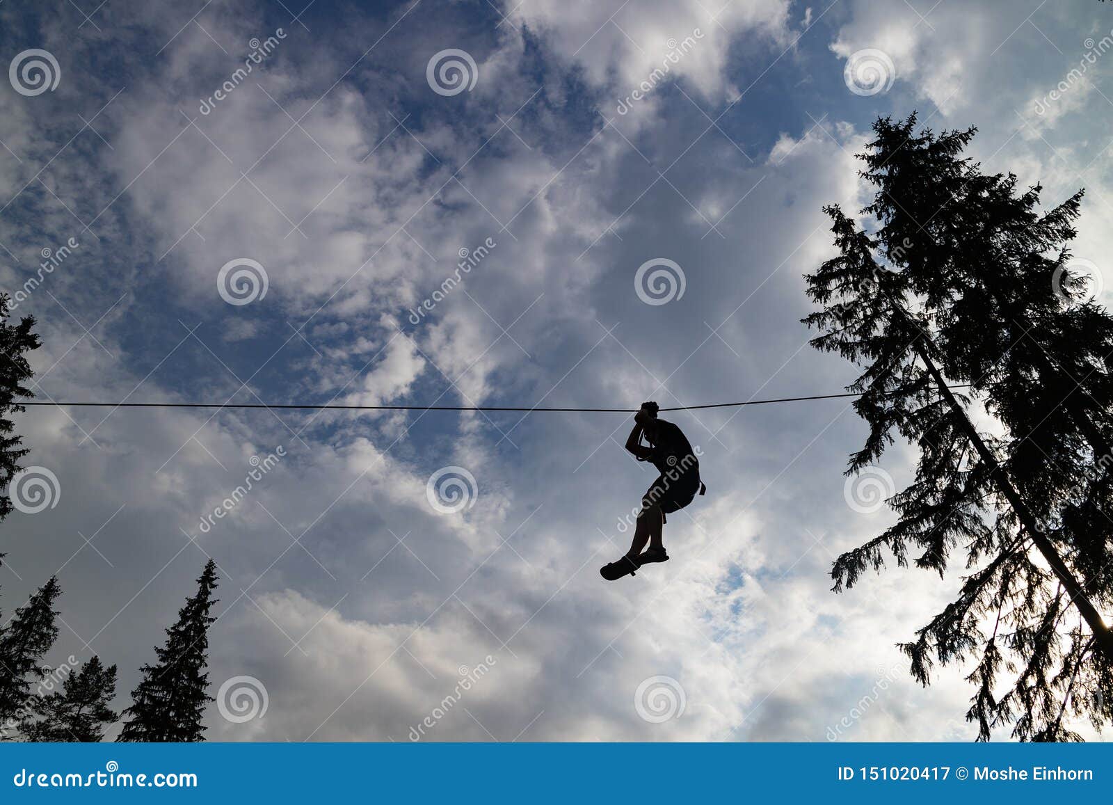 Down the Zip Line stock image. Image of confidence, forest - 151020417