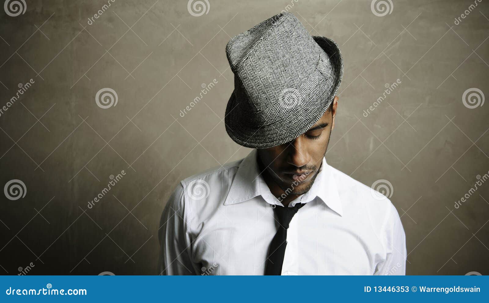 Downcast stock image. Image of elegant, stylish, lean - 13446353