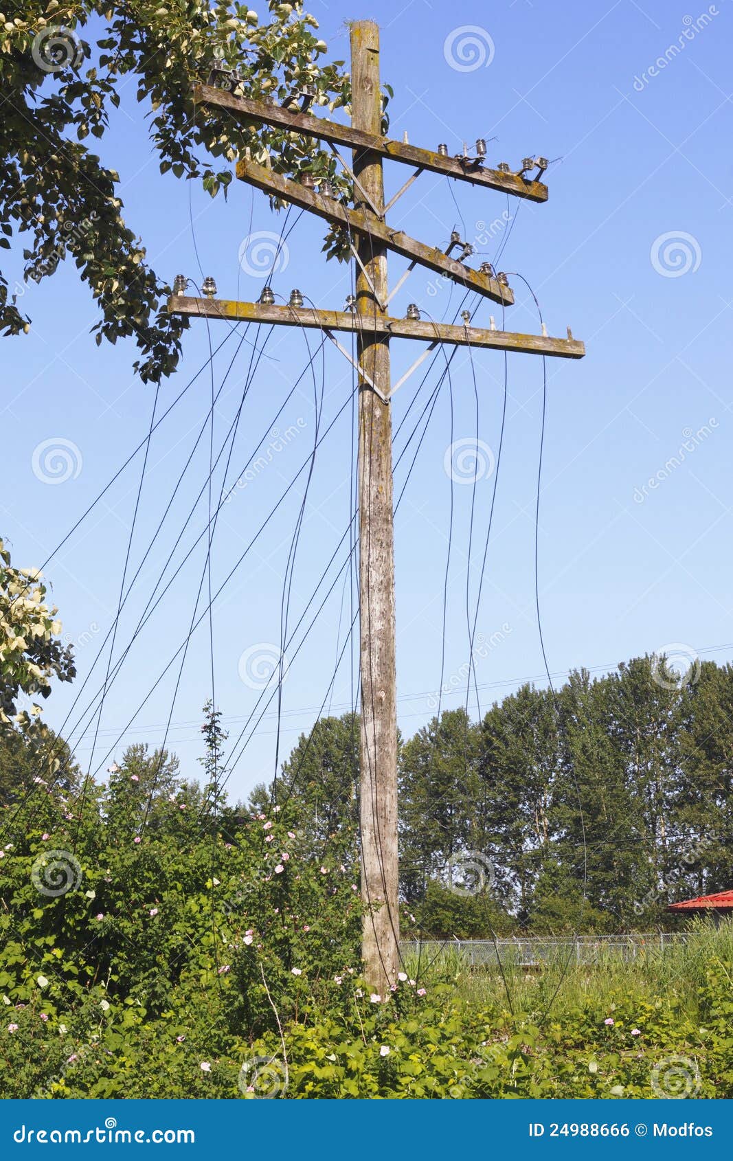 Downed Power Lines stock photo. Image of loosened, string - 24988666